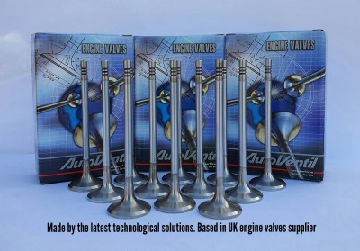 Set of 12 exhaust valves for BMW N57 D30 3.0 Diesel engines